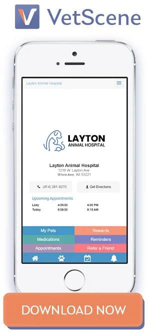 Layton Animal Hospital - Your Local Vet in Milwaukee, WI