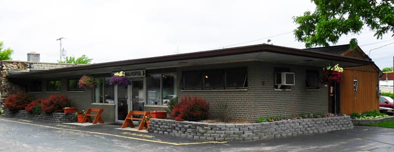 Layton Animal Hospital - Your Local Vet in Milwaukee, WI